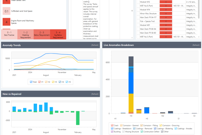 FPSO Integrity Management, Hull Integrity Management
